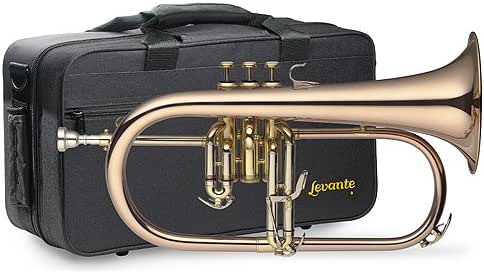 Levante 058990 Bugle à piston SIB Pro + Etui Or: Amazon.fr: Instruments ...