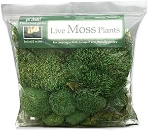 Moss Garden Pack : Amazon.co.uk: Garden & Outdoors