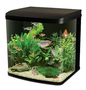Interpet LED Lighting River Reef Glass Aquarium Fish Tank - 94 Litre ...
