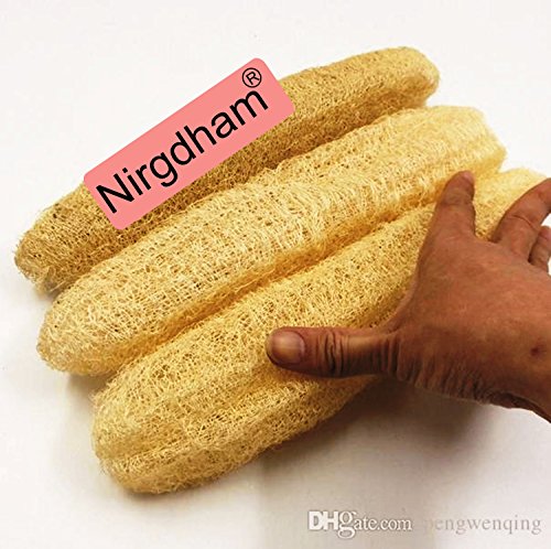 Loofah 3 Pcs 100 Natural Ridge Gourd Fiber Big Size | Desertcart Brunei