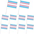 Transgender Flag Small LGBT Gay Pride Rainbow Flag On Sticks,Mini ...