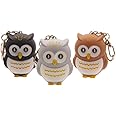 Cute LED light up Hooting Owl Keyring Key chain torch : Amazon.co.uk ...