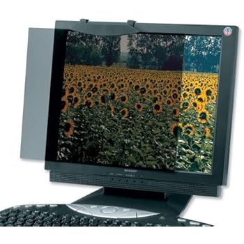 Compucessory Screen Filter Glass Anti-glare-radiation-static CRT and ...