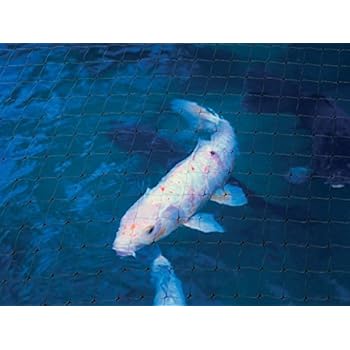PondXpert Pond Protector Floating Fish Pond Net. Interlocking Rings ...