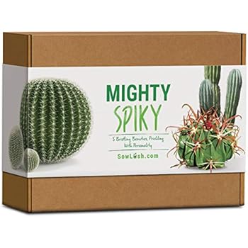 Cactus Kit - Grow Your Own Cacti Plants Indoors - Unusual Gardening ...