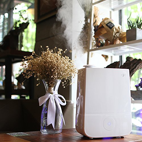 Joly Joy Luftbefeuchter 4L Ultraschall Humidifier mit kühlem Dampf mit ...