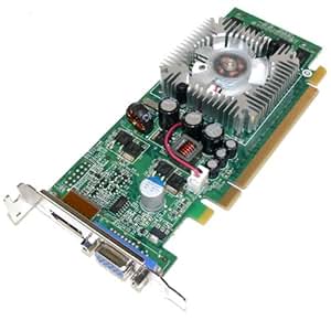 Lenovo Nvidia GeForce 310 Grafikkarte: Amazon.de: Computer & Zubehör