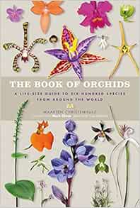 The Book of Orchids: A life-size guide to six hundred species from ...