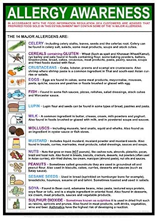 FOOD ALLERGY AWARENESS A3 LAMINATED POSTER: Amazon.co.uk: Business ...