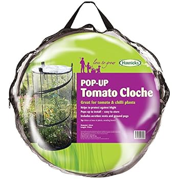 Pop Up Tomato Cloche - 110cm tall - Garden Plant Cloches - Tomato ...
