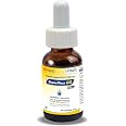 Sundyota's Superflora GG Probiotic Supplement MINI Drops | Specially ...