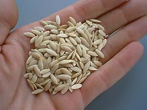 Pmw Skinless Kharbooja Seeds (100g): Amazon.in: Garden & Outdoors