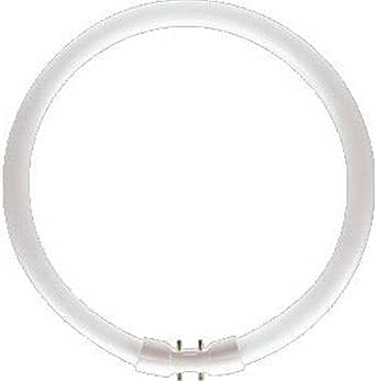 Philips Circular Pro TL5-C 840 Fluorescent Light 2GX13 Cool White 40 W ...