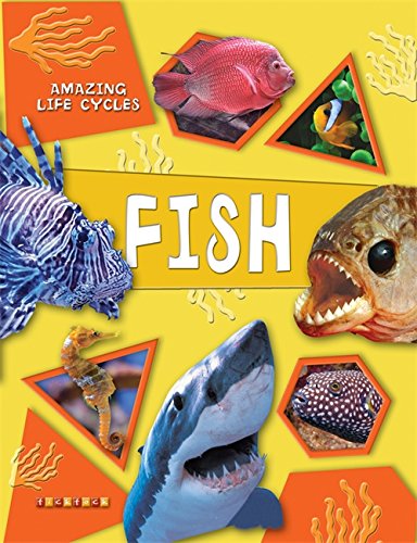 Fish (Amazing Life Cycles): No. 5: Amazon.co.uk: Honor Head ...