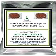 BANYAN TREE -ALA MARAM-(FICUS BENGHALENSIS) SEEDS-50 GM (WITH FREE ...