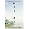 Mislaid : Zink, Nell: Amazon.co.uk: Books