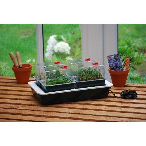 Best propagators ranked by quality and price (November 2020 Updated ...