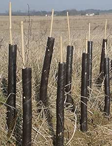 Elixir Gardens Tree Guards 2ft/24 Professional Rabbit/Pest, Sapling ...