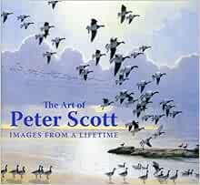 The Art of Peter Scott: Images from a Lifetime: Amazon.co.uk: Sir Peter ...