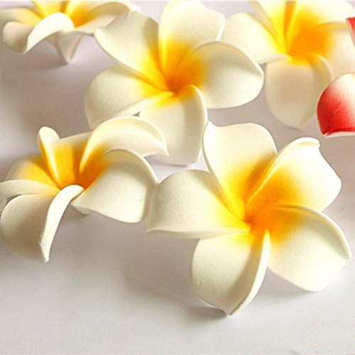 Flores hawaianas. Nombres y significados - Happy Hawaii