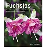 A Gardener's Guide to 500 Fuchsias: Varieties for Growing in Hanging ...