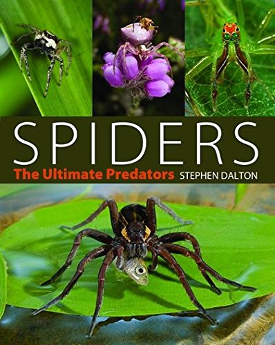 Spiders: The Ultimate Predators: Amazon.co.uk: Stephen Dalton ...