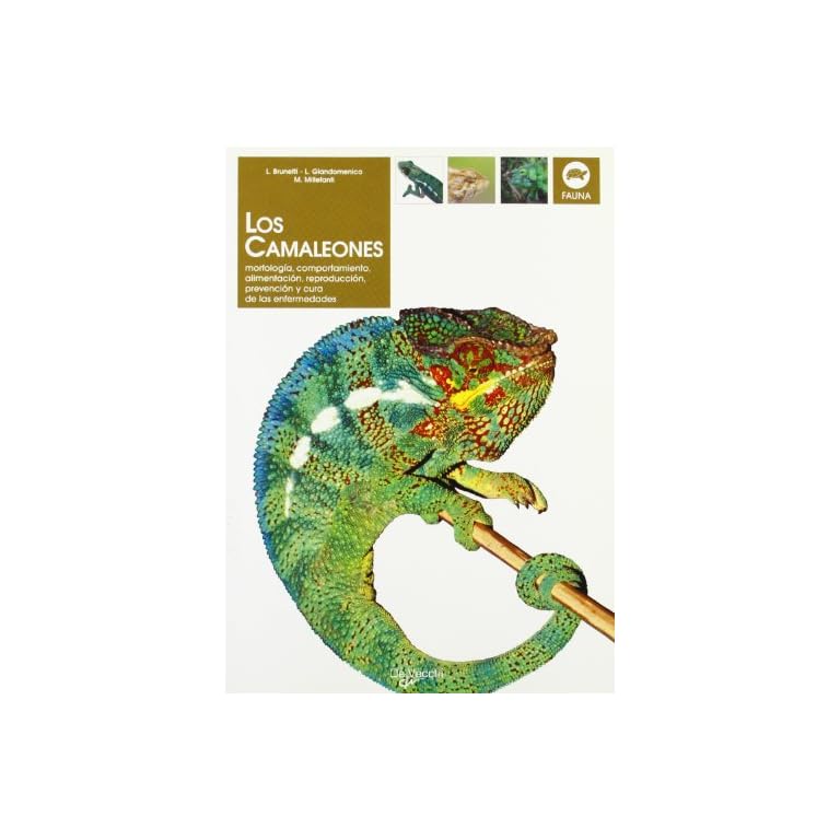 ⊛ Libros de camaleones ⊛