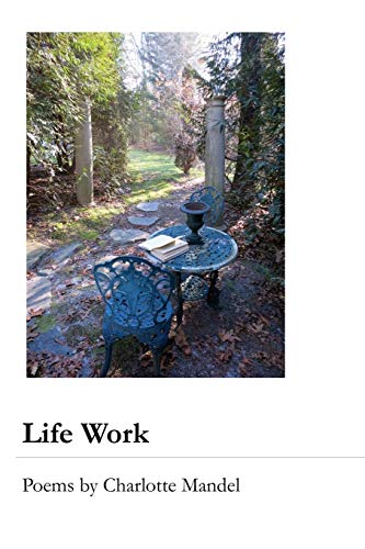 Buy Life Work Book Online at Low Prices in India | Life Work Reviews ...