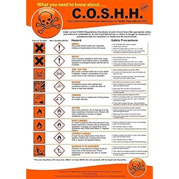 COSHH HEALTH AND SAFETY A3 LAMINATED POSTER: Amazon.co.uk: Business ...