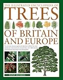 Collins Tree Guide: Amazon.co.uk: Owen Johnson: 9780007207718: Books