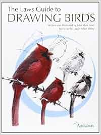 The Laws Guide to Drawing Birds: Amazon.de: John Muir Laws ...