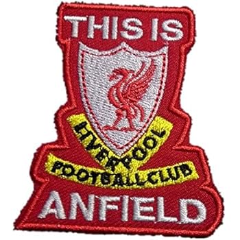 Sew-on Iron-on Embroidered Patch Liverpool Red Liverbird (Liver Bird ...