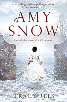 Amy Snow: A powerful, warm-hearted and uplifting tale about love and ...