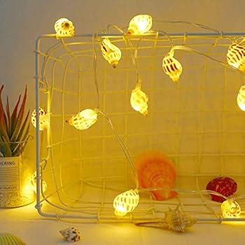 Festive Lights Sea Shell Fairy Lights - Battery Operated - 10 Warm ...