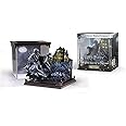 The Noble Collection NN7550 Harry Potter Collectible : Amazon.co.uk ...