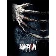 Boogeyman [USA] [DVD]: Amazon.es: Barry Watson, Emily Deschanel, Skye ...