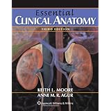 Essential Clinical Anatomy, International Edition : Keith L. Moore PhD ...