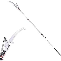 Sharpex 2 Stage Telescopic Long Cutter for Tree | 10 Feet Tree Pole ...