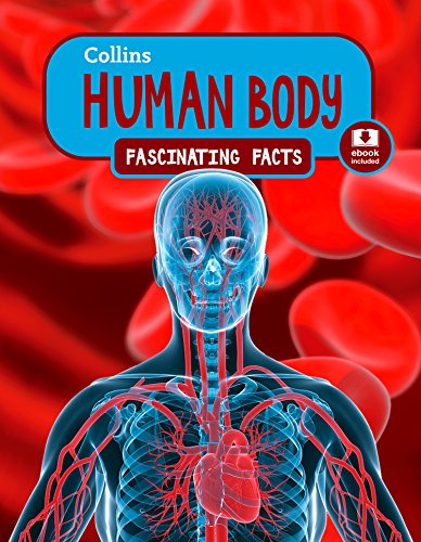 human body facts pdf