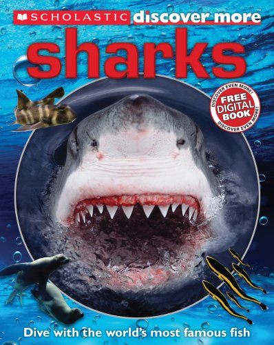 Sharks (Discover More): Amazon.co.uk: Arlon, Penny: 9781407136561: Books