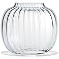 Amazon.de: Holmegaard Ovale Vase H17.5 Primula optisches Muster mundgeblasenem Glas, klar