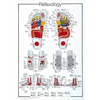 The Museum Outlet charts of - Reflexology Chart - Feet - A3 Poster ...