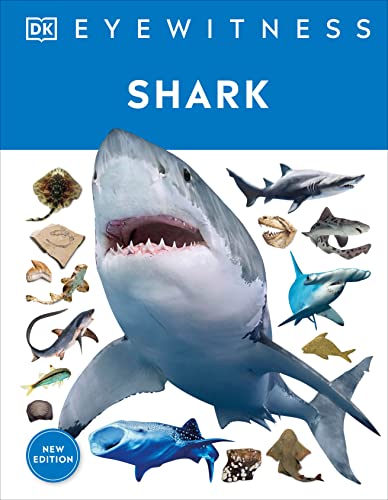 Buy Shark: Dive into the fascinating world of sharks - from the tiny ...