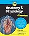 Anatomy & Physiology for Dummies, 2nd Edition: Amazon.co.uk: Maggie Norris, Donna Rae Siegfried ...