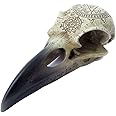 Alchemy Gothic Omega Raven Skull : Amazon.co.uk: Home & Kitchen