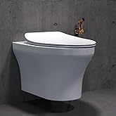 Kohler Vive Wall Mounted Toilet | True Rimless Ceramic Western Bathroom ...