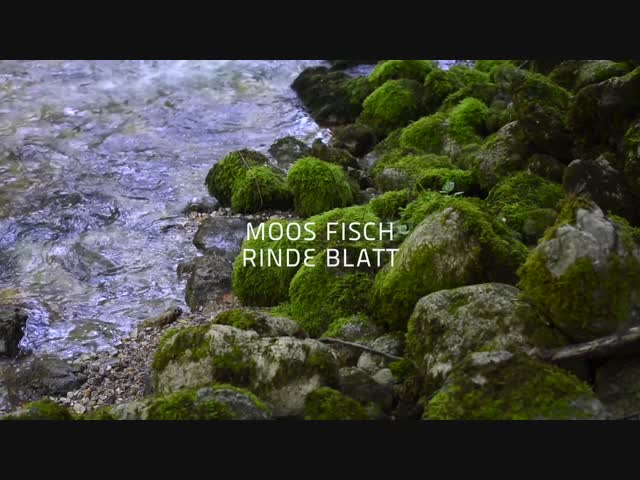 Moos. Fisch. Rinde. Blatt: Genuss der Landschaft: Amazon.de: Valentino ...