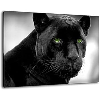 LARGE BLACK PANTHER ANIMAL CANVAS ART PRINT 30 X 20 INCHES (76 x 52 cm ...