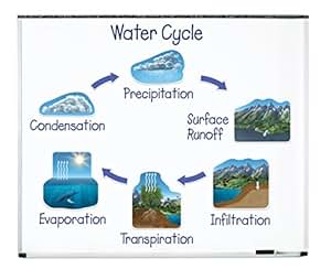 Learning Resources Giant Magnetic Water Cycle: Amazon.co.uk: Toys & Games