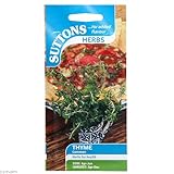 How To Grow Fresh Herbs with Kids · The Inspiration Edit